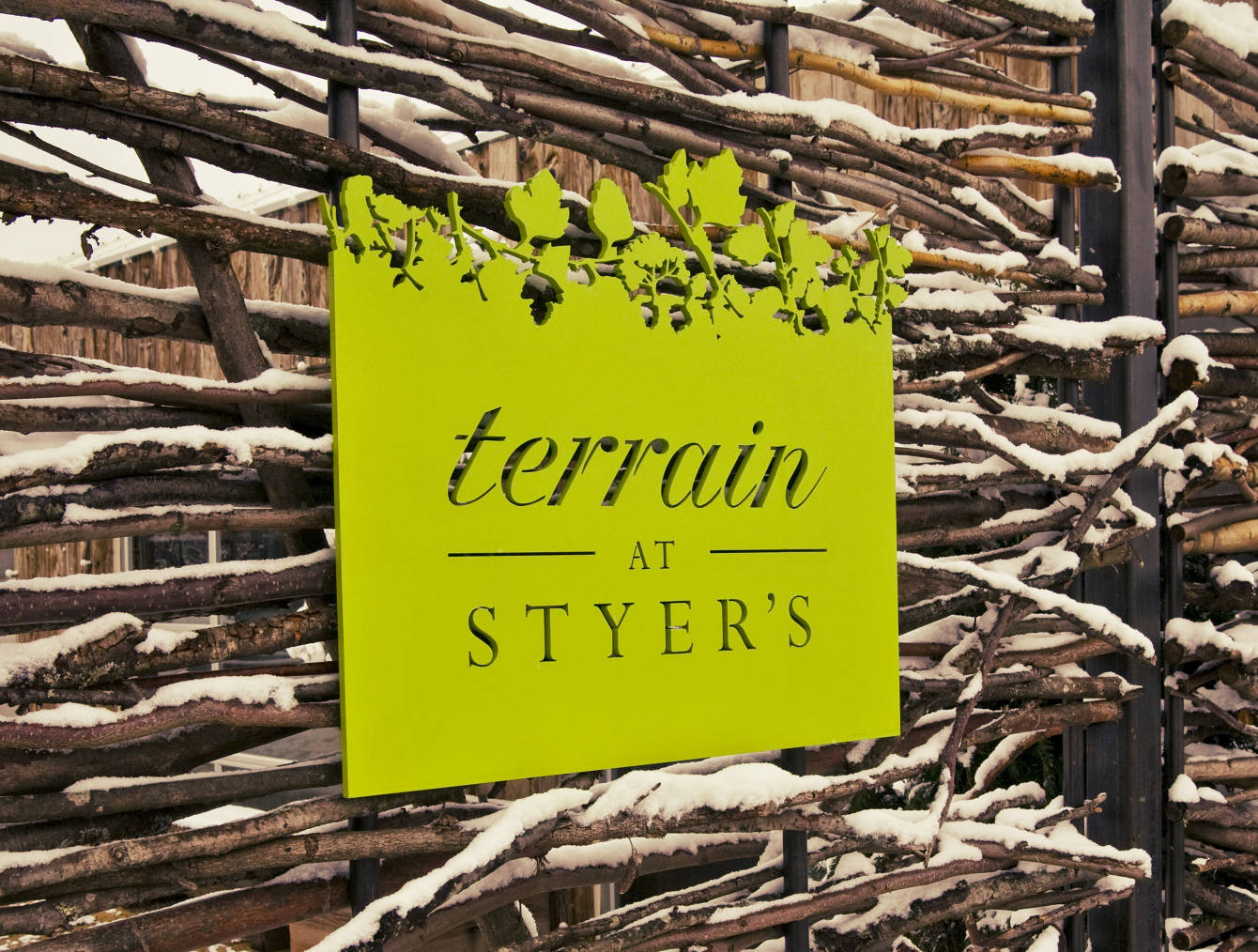 Terrain - Bird and Banner