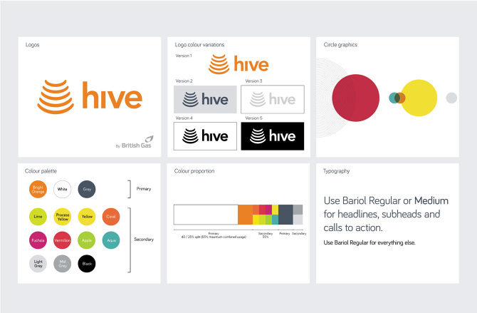 Hive. Brand Identity - Suzie Fasciani