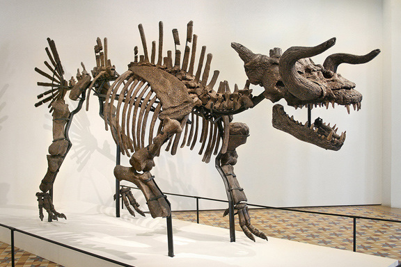 The Skeleton of Makara (The Myth of a Myth) (2016) - Tan Zi Hao