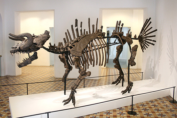 The Skeleton of Makara (The Myth of a Myth) (2016) - Tan Zi Hao