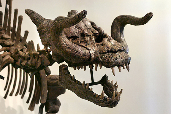 The Skeleton of Makara (The Myth of a Myth) (2016) - Tan Zi Hao