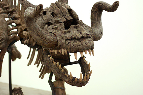 The Skeleton of Makara (The Myth of a Myth) (2016) - Tan Zi Hao