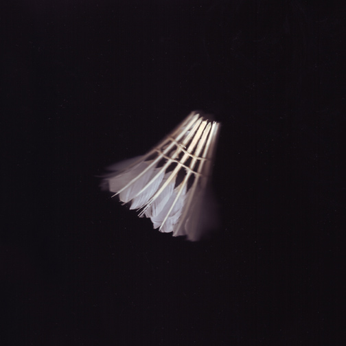 A Study on the Anatomy of a Castrated Shuttlecock and Some Metaphors ...
