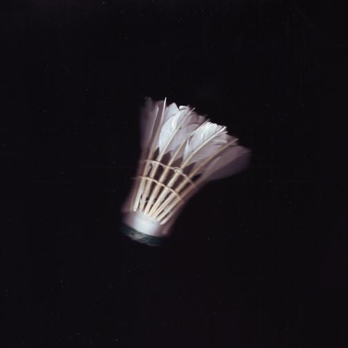 A Study on the Anatomy of a Castrated Shuttlecock and Some Metaphors ...