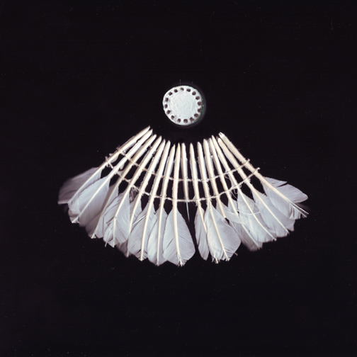 A Study on the Anatomy of a Castrated Shuttlecock and Some Metaphors ...