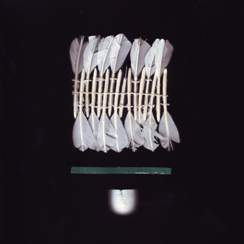 A Study on the Anatomy of a Castrated Shuttlecock and Some Metaphors ...