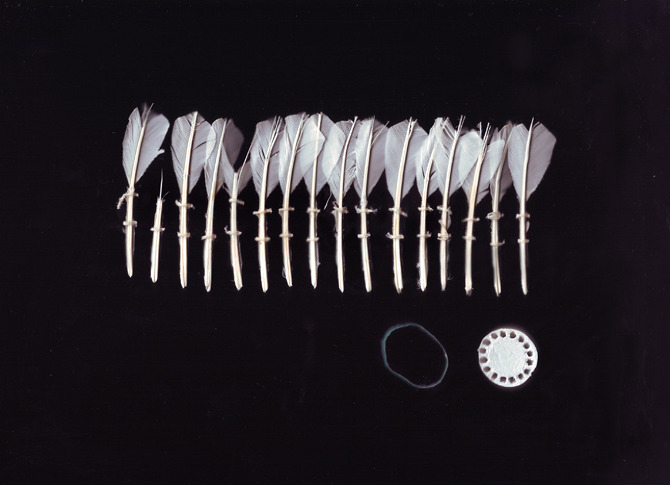 A Study on the Anatomy of a Castrated Shuttlecock and Some Metaphors ...