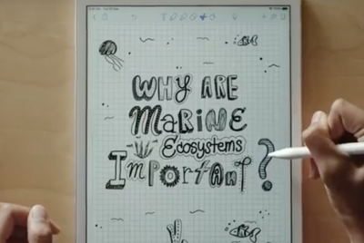 Apple iPad - Todd Waldron