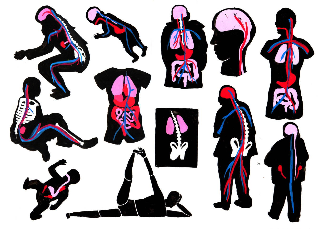 Anatomy - Amy Stevens Illustration