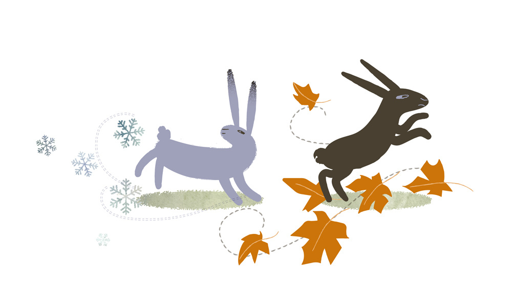 Snowshoe Hares - - Illustration by Leia Kaprov. Yummy.