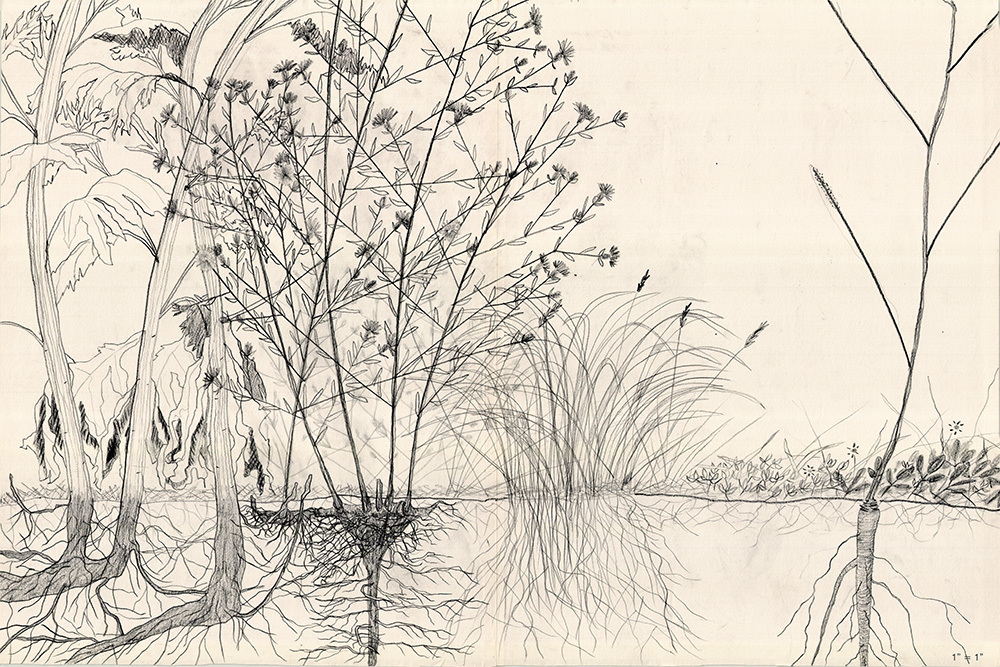 Vacant Lot Investigations - Julia Lines Wilson