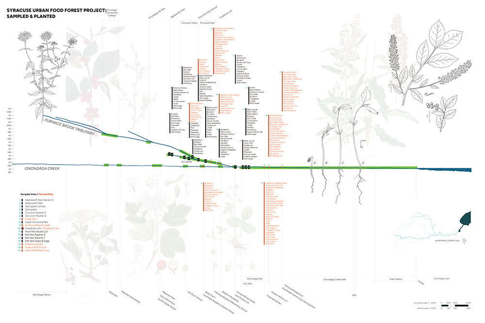 Urban Food Forest Project - Julia Lines Wilson