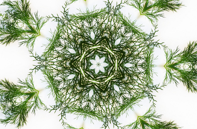 Generative Green - Ting Zhang