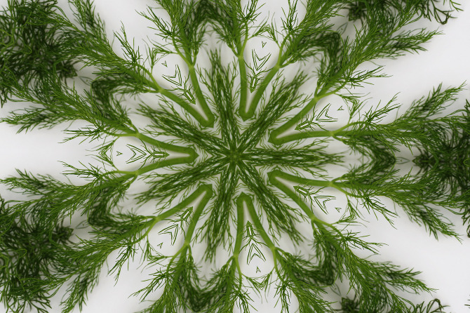 Generative Green - Ting Zhang