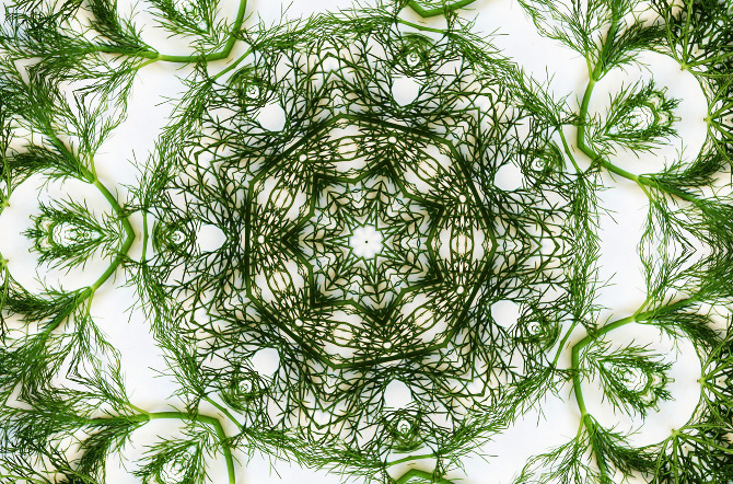 Generative Green - Ting Zhang