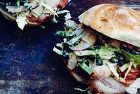 PORCHETTA PANINI - OSTRO