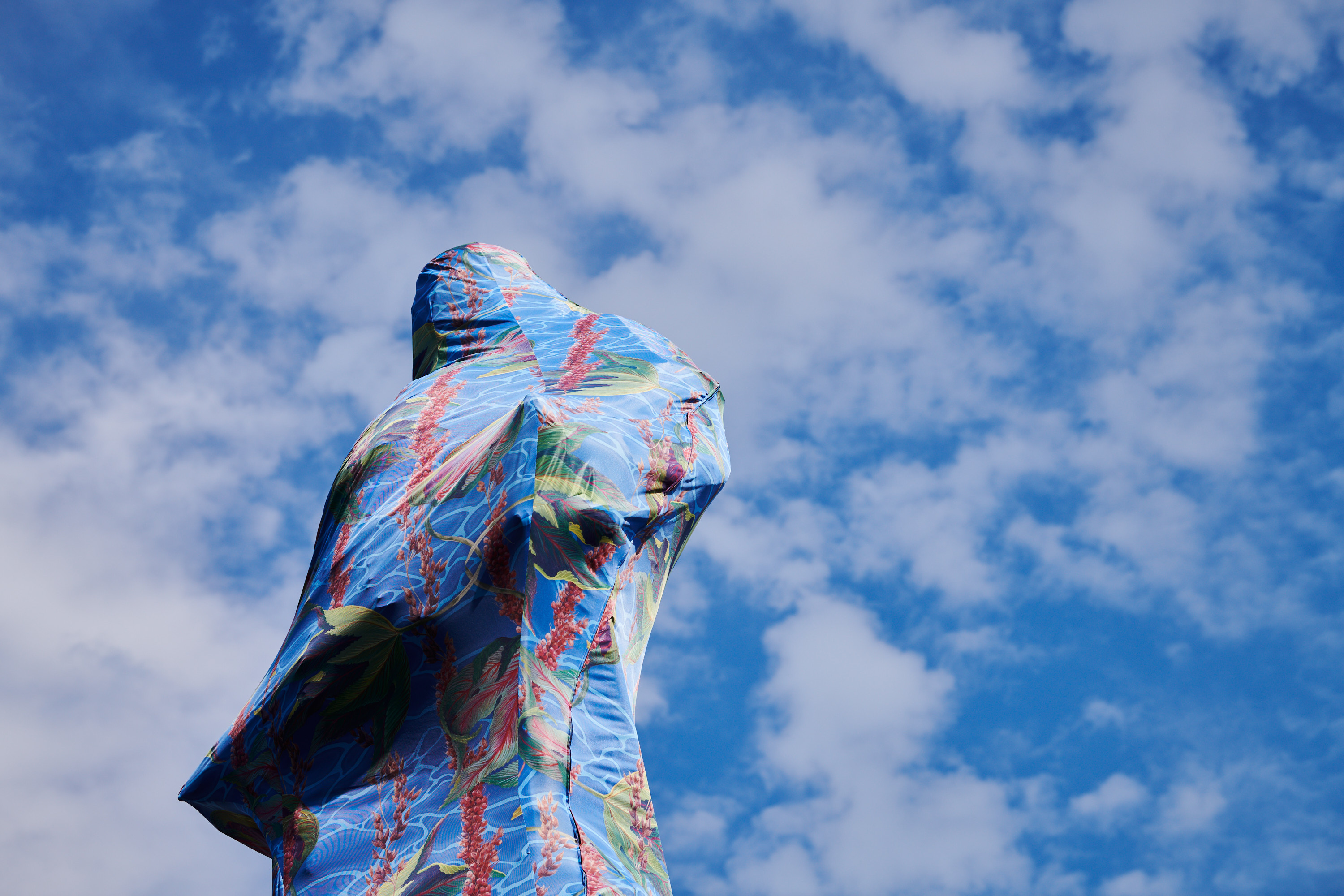 The Cloaking series - Joiri Minaya