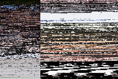 Self-Portrait as Color Palette - JESSICA BUIE