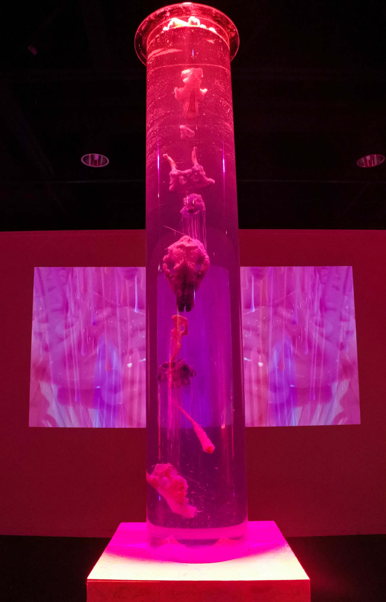 Hydromancy - Goo-Witching