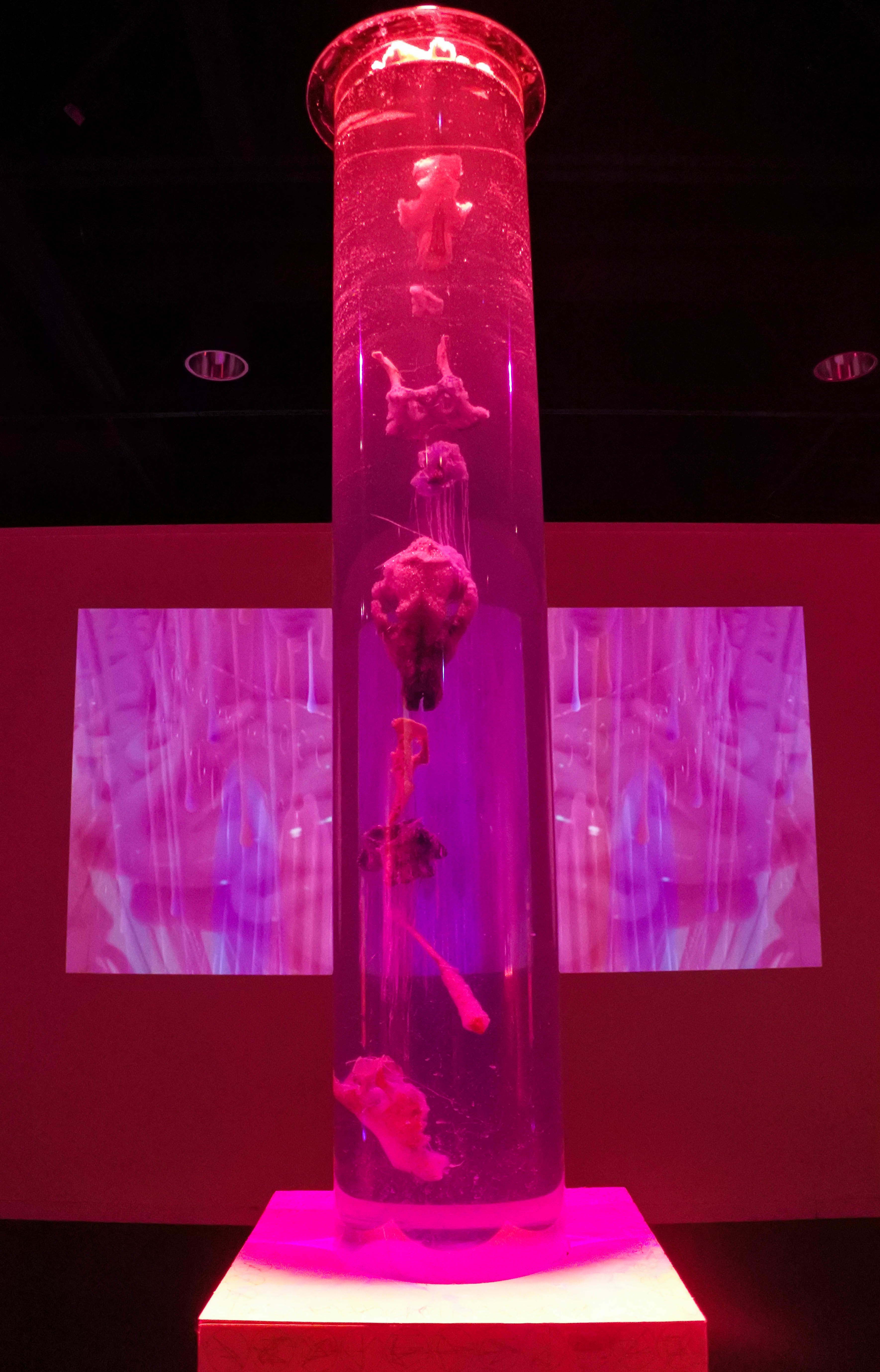 Hydromancy - Goo-Witching