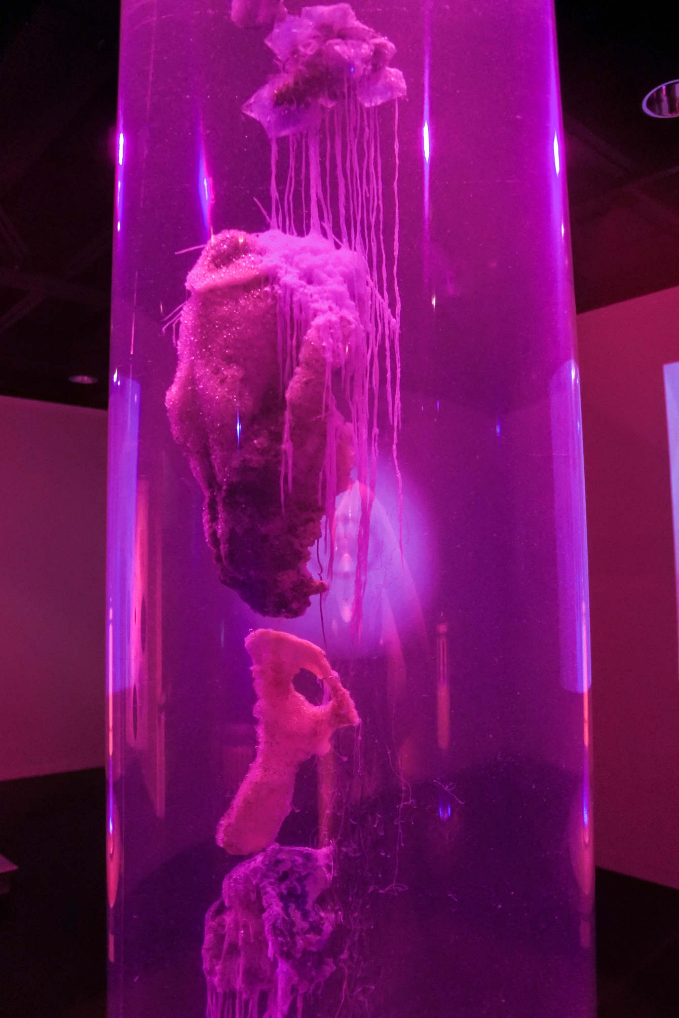 Hydromancy - Goo-Witching