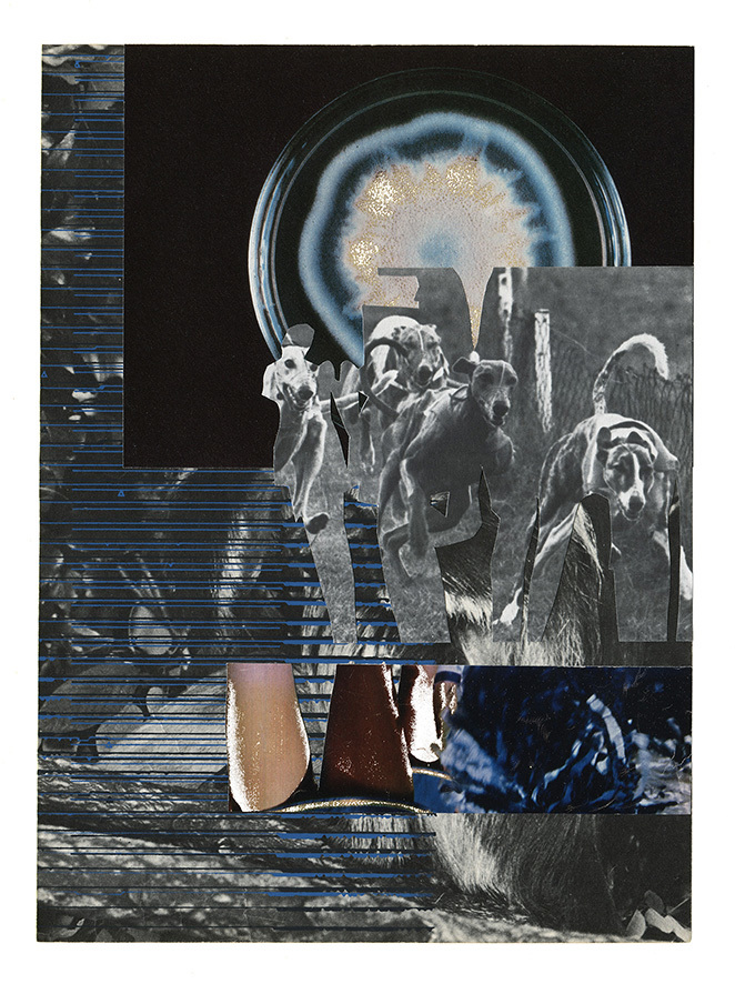 Collages (selection) - Barbara Breitenfellner