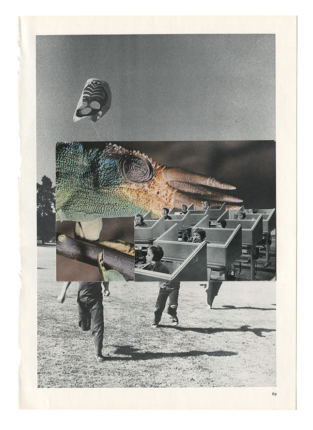 Collages (selection) - Barbara Breitenfellner